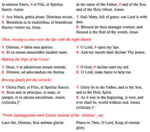 How to pray the Rosary - English.op.org